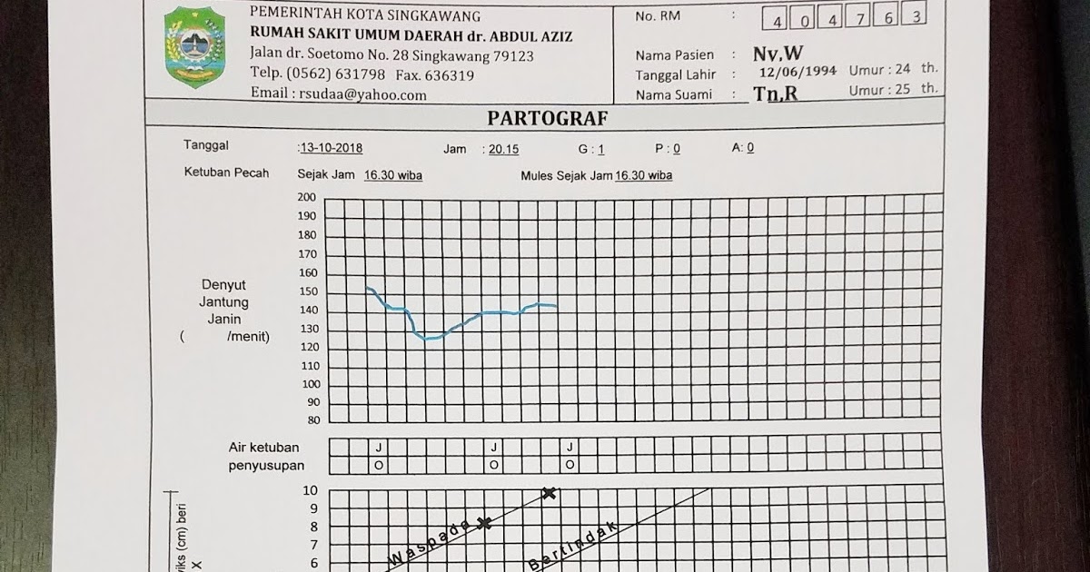 Cara Pengisian Partograf