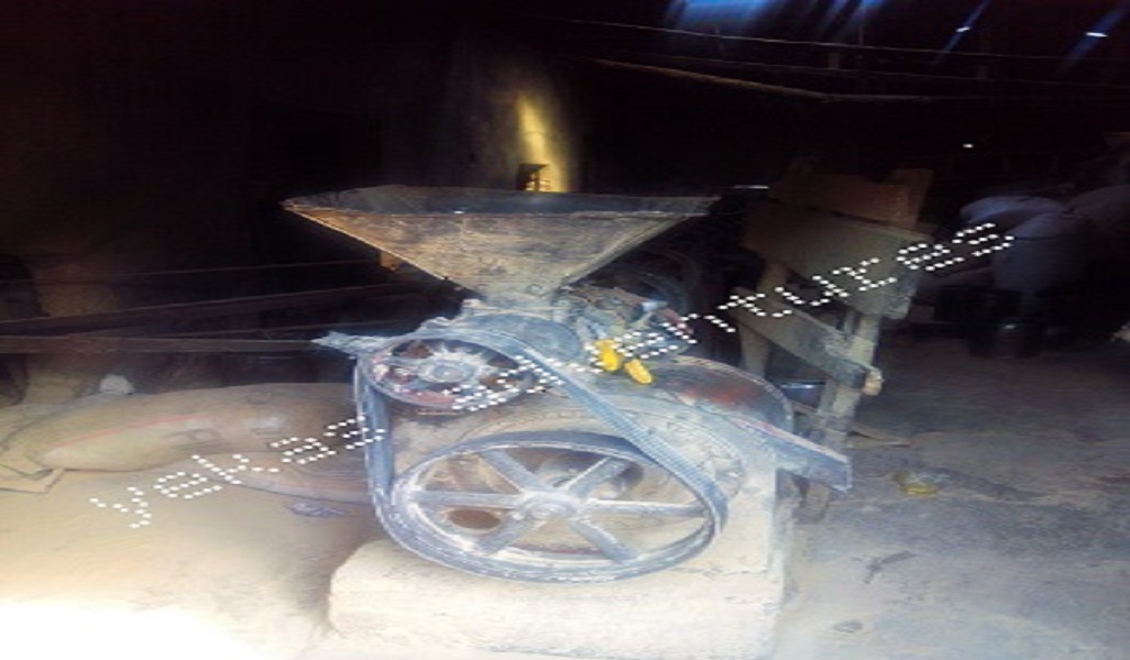 YEKA'S ADVENTURES: RICE FARMING IN ABAKALIKI