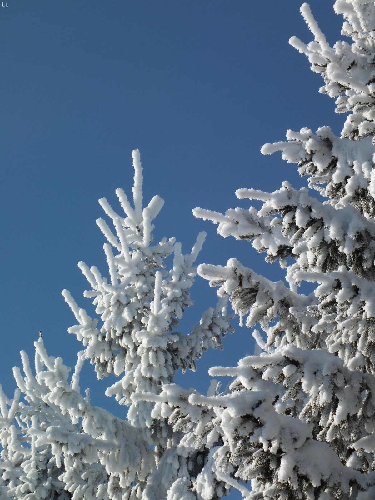 FABULO: février 2013