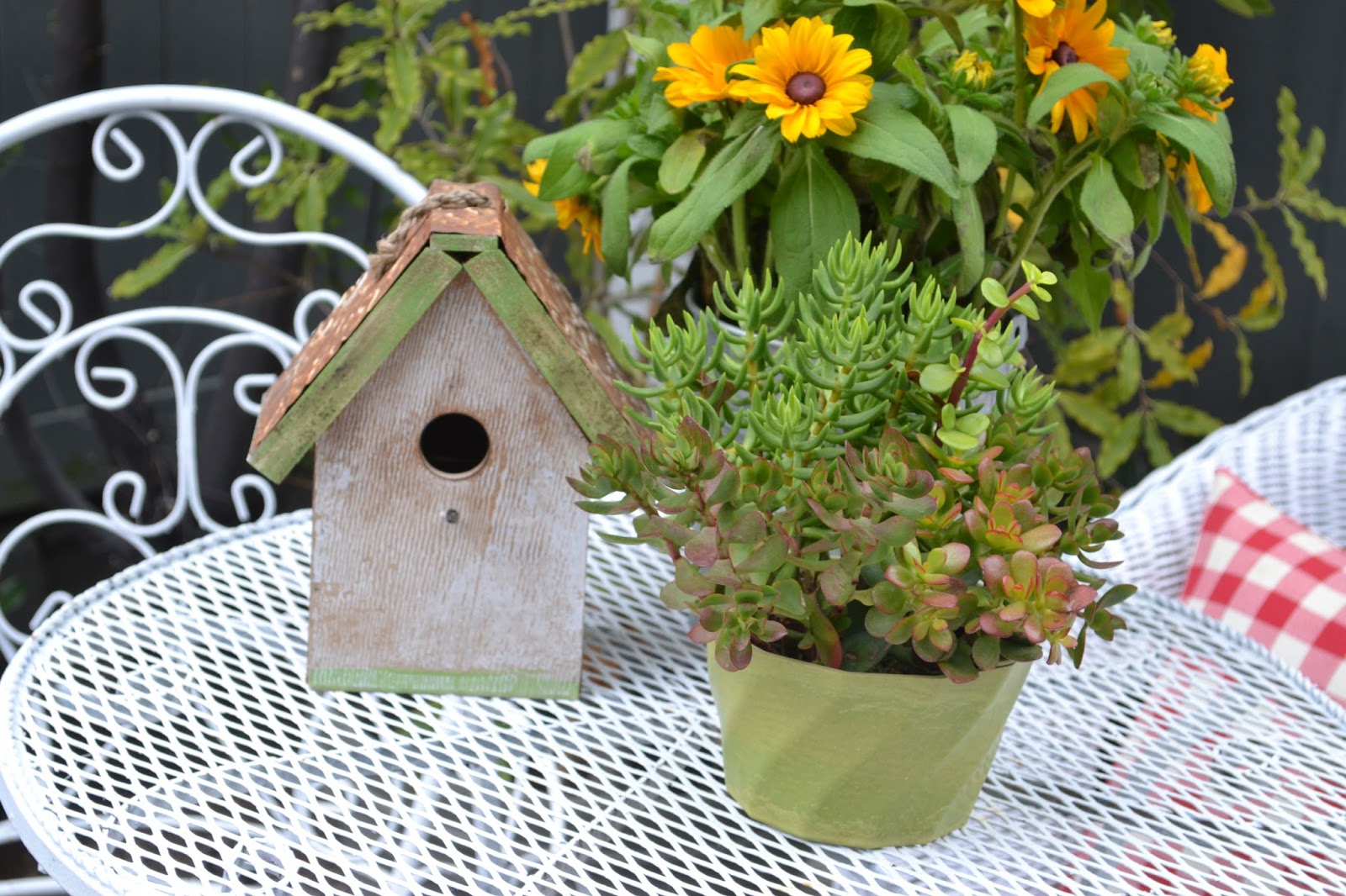 My Painted Garden: Adding Pops of Color and "Water-Wise" Garden Flowers