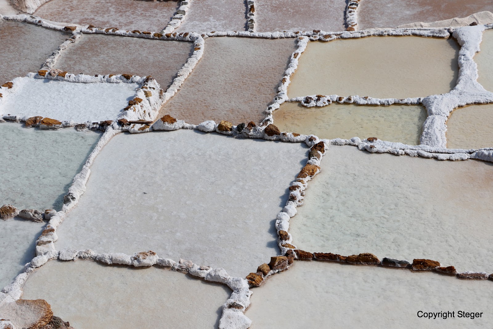 The Wheel: POTD: Marasal