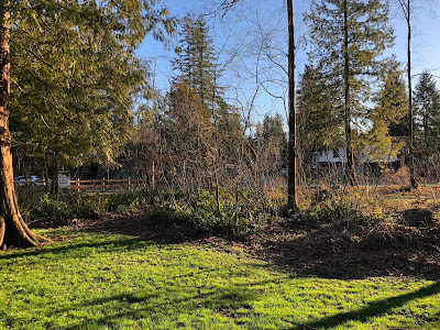 The South Fraser Blog: Newly restored Hunter Park in Picture