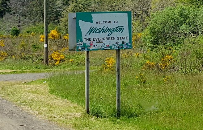 Wandering His Wonders: Mount St. Helens National Monument