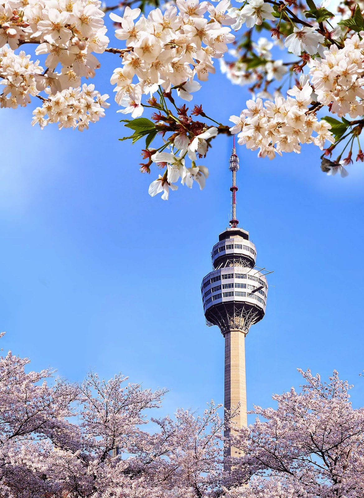 Korea Spring Tourism Week 2015 - Major Festivals & Events