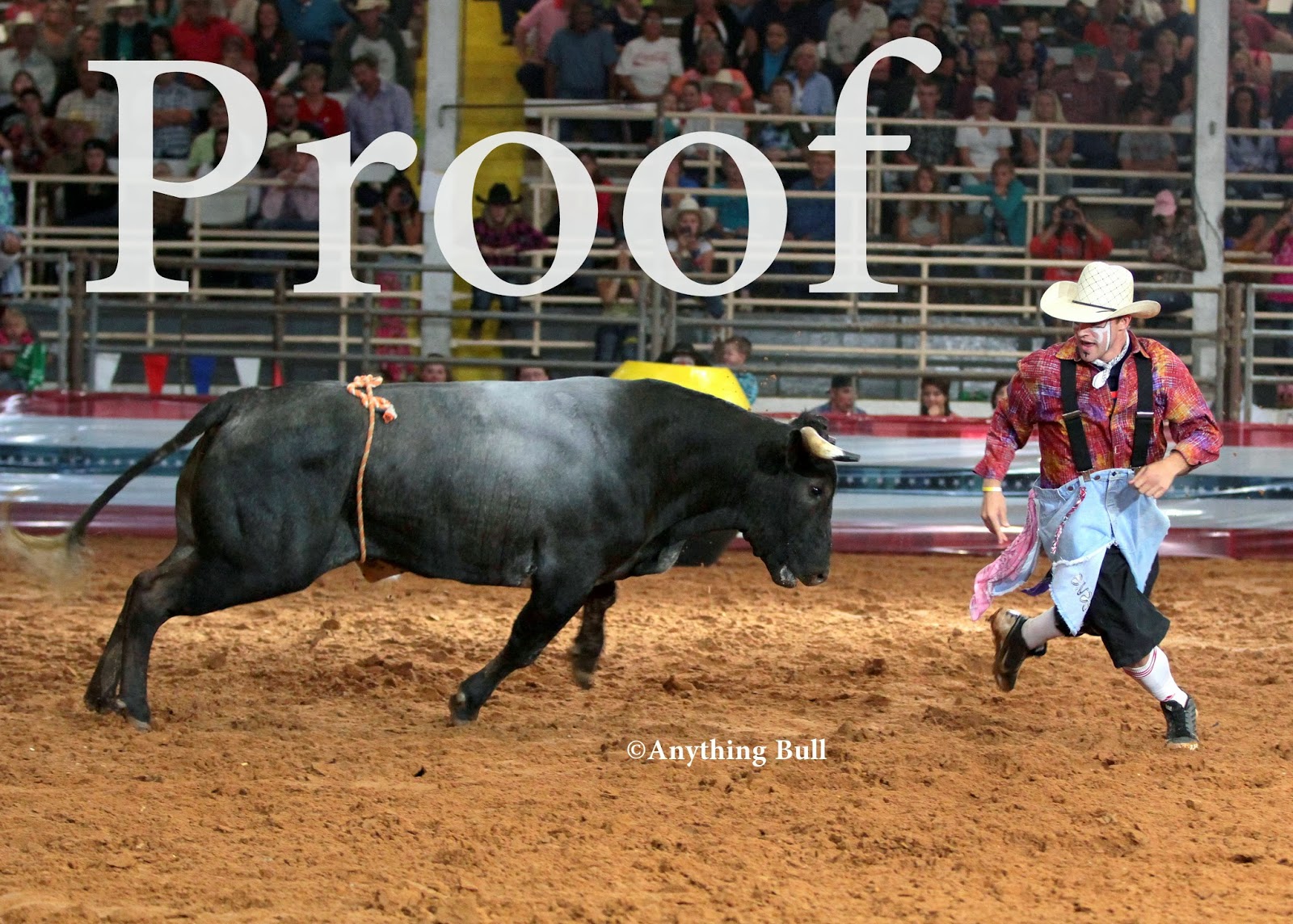 Anything Bull or Rusty: Chuck Swisher-2nd steer Friday night