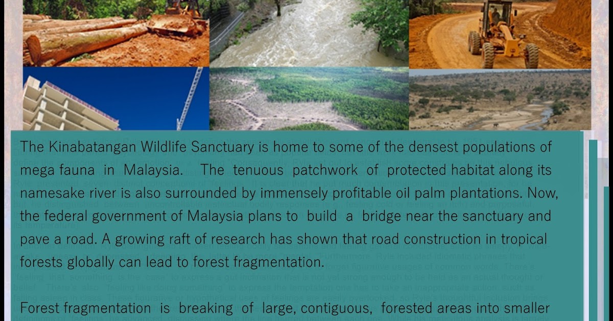 Introduction to Forest Science: Group 6 : Case Study of Forest ...