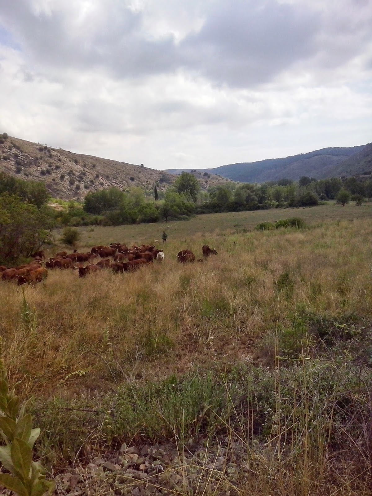 DESCUBRE NUESTRA SIERRA