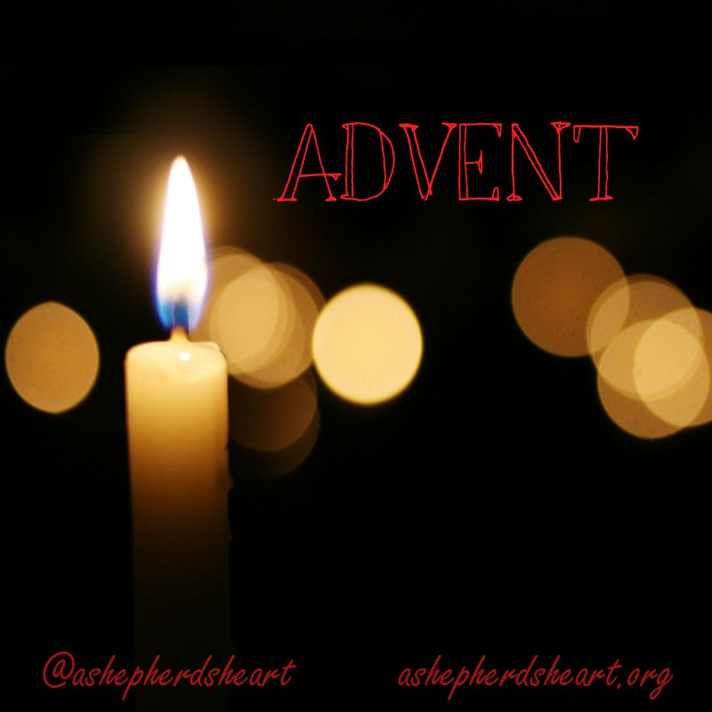 A Shepherd's Heart: Advent Week 4 - A Prayer of Peace