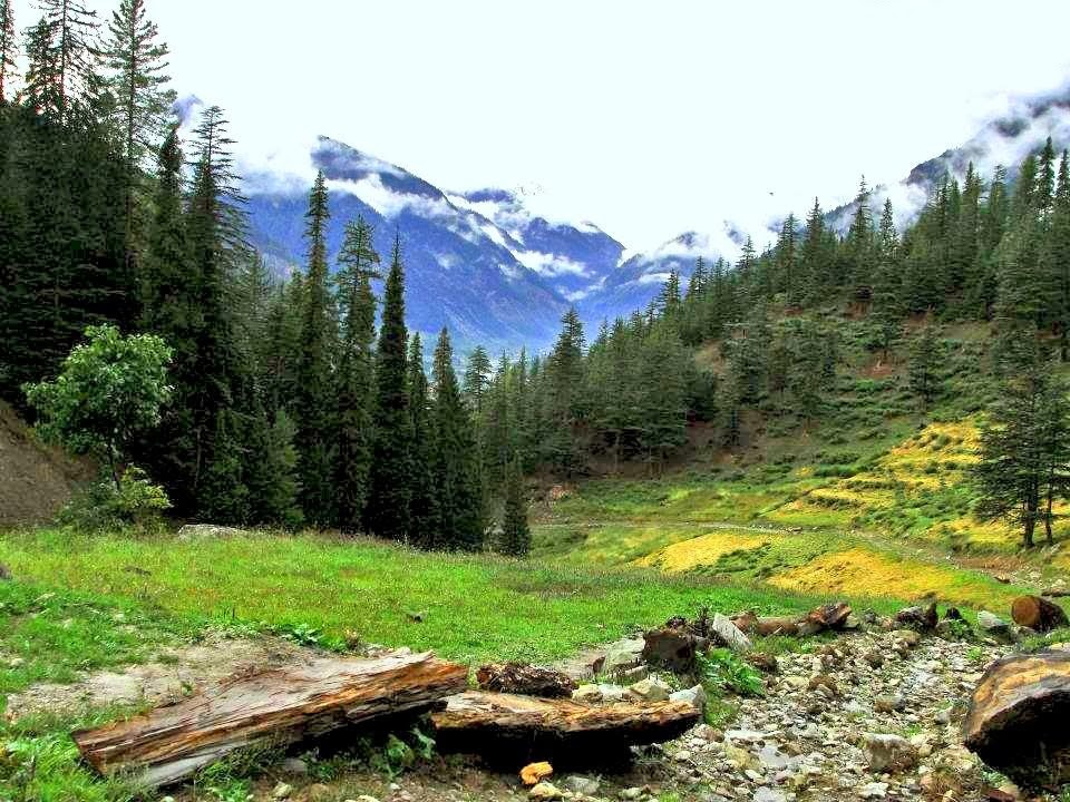Utror Valley, Swat-KPK, Pakistan - Exploring Spectacular Pakistan