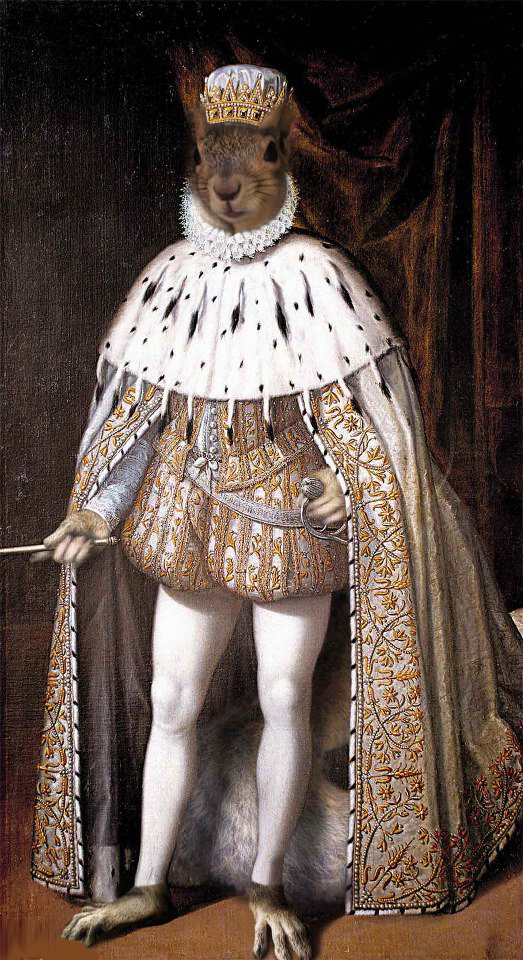 Squirrels of Wisdom: The Royal Squirrel Family