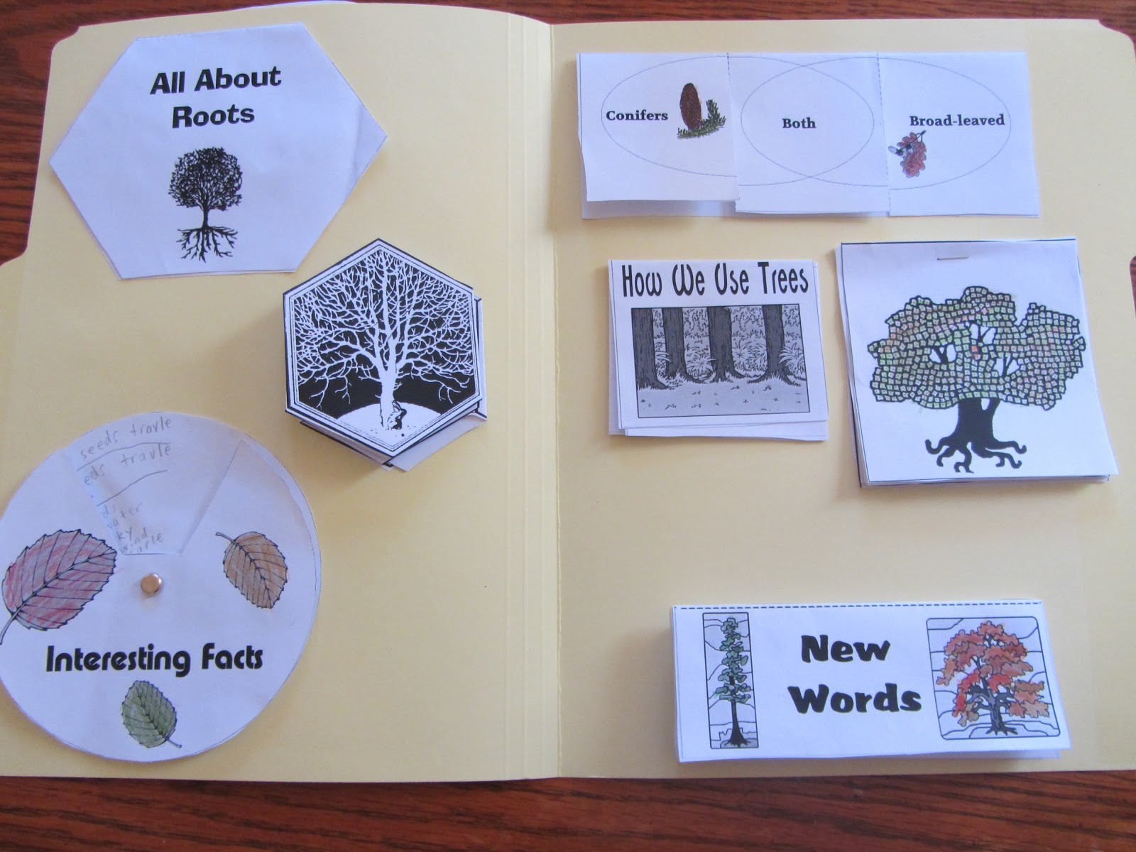 The Unlikely Homeschool: Tree Unit