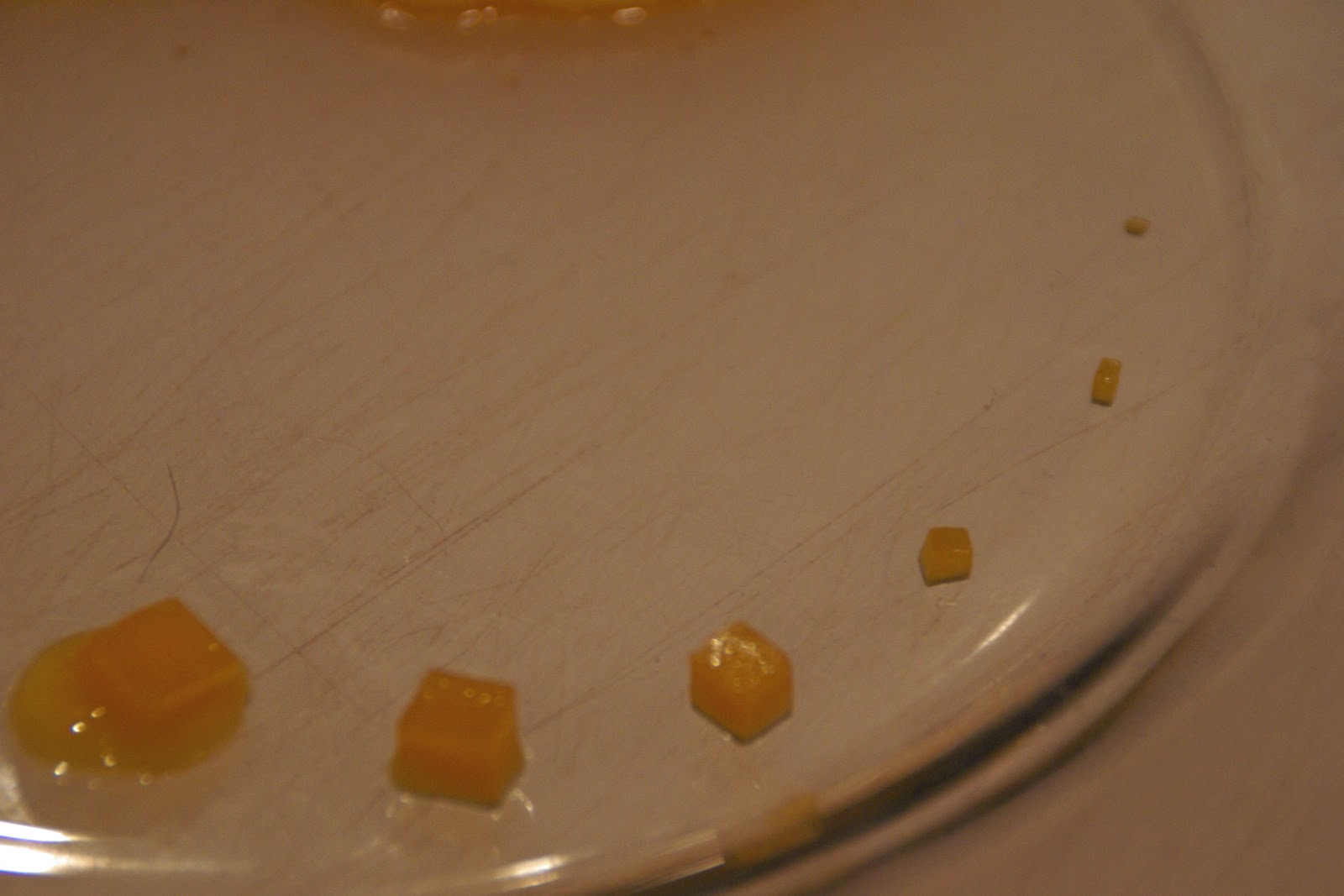 Molecular Gastronomy: Edible Chemistry: Microwave Magic