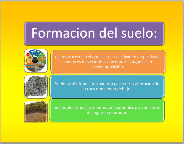 El Suelo: Formación del suelo