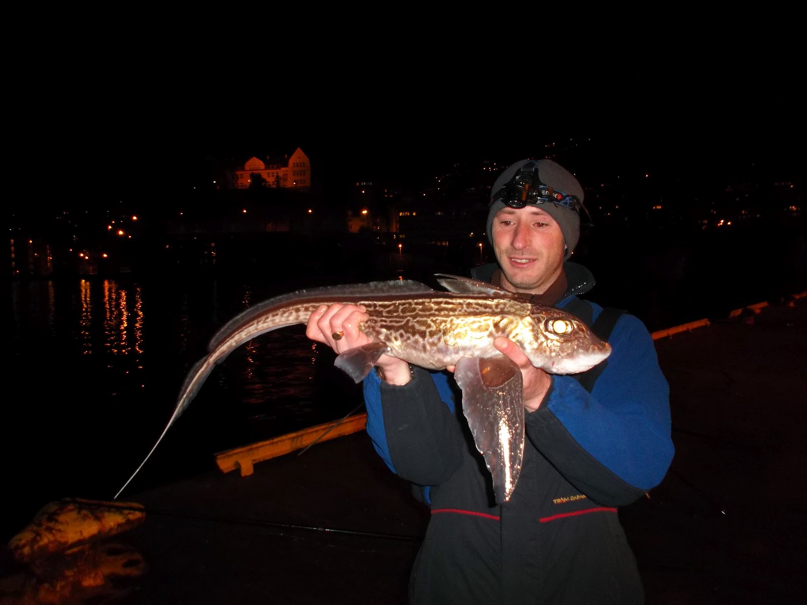 Martins Norske fiskesider