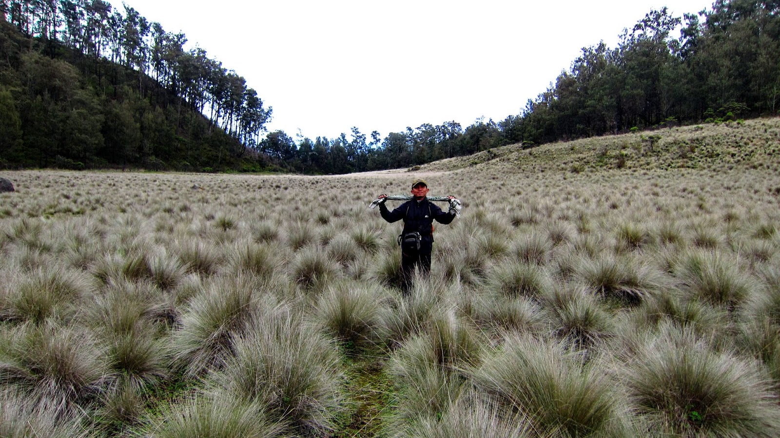 pRopaNe_AdvenTure: Trip to Ijen Crater and 3 summits of Mt. Argopuro ...