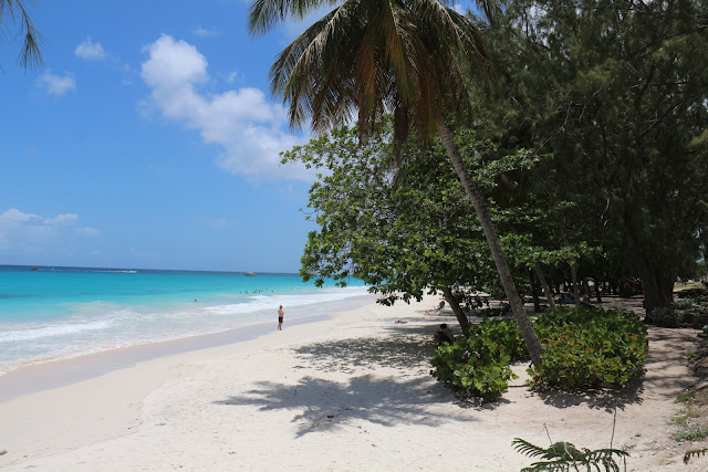 Por que Barbados? GUIA, ROTEIRO COMPLETO, PASSEIOS e DICAS ...