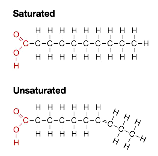 Blogus scientificus: Get Your Fats Straight