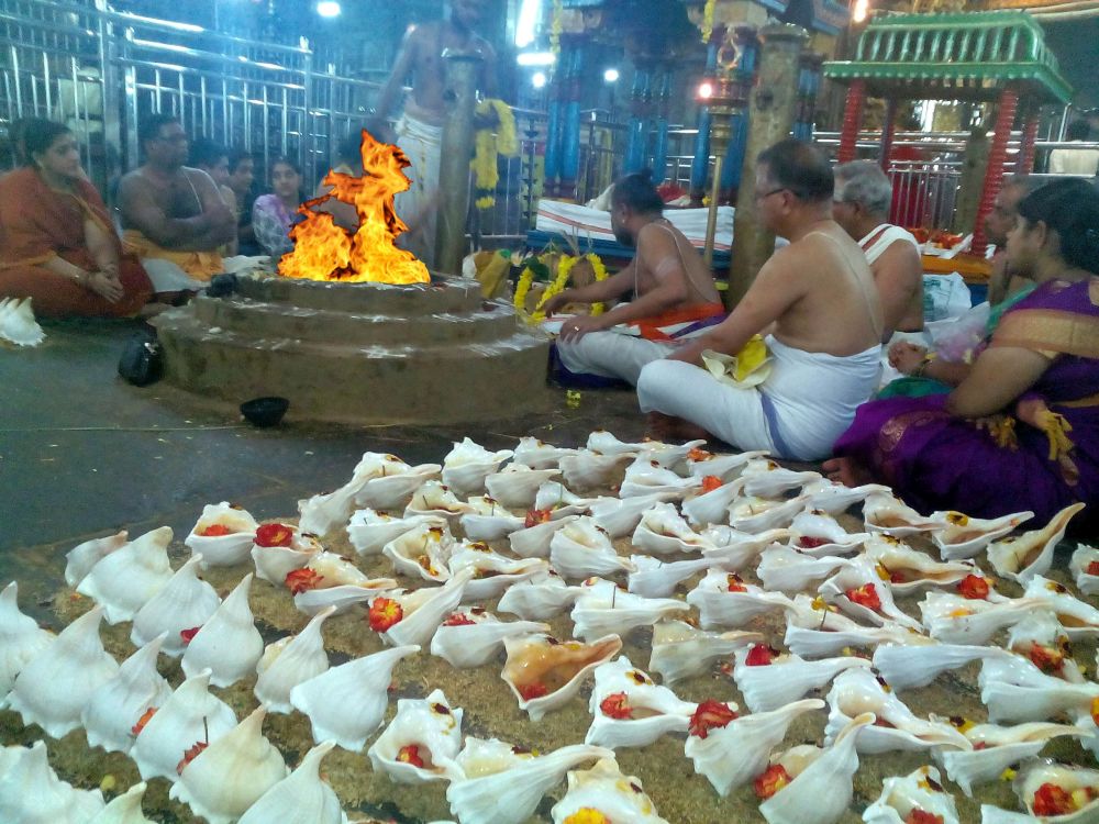 2015 Karthigai Deepam: Valampuri Sangu Homa - ARUNACHALA GRACE