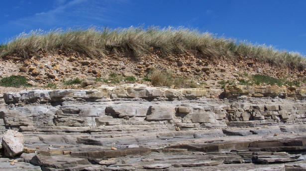 Landforms in the World: Coastal and Oceanic Landform (08. Beach and ...
