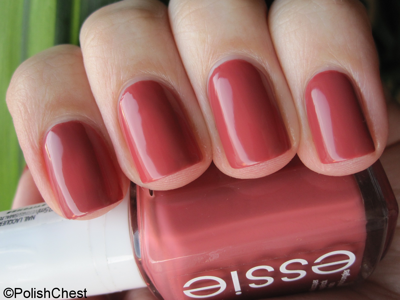 Polish Chest Essie In Stitches