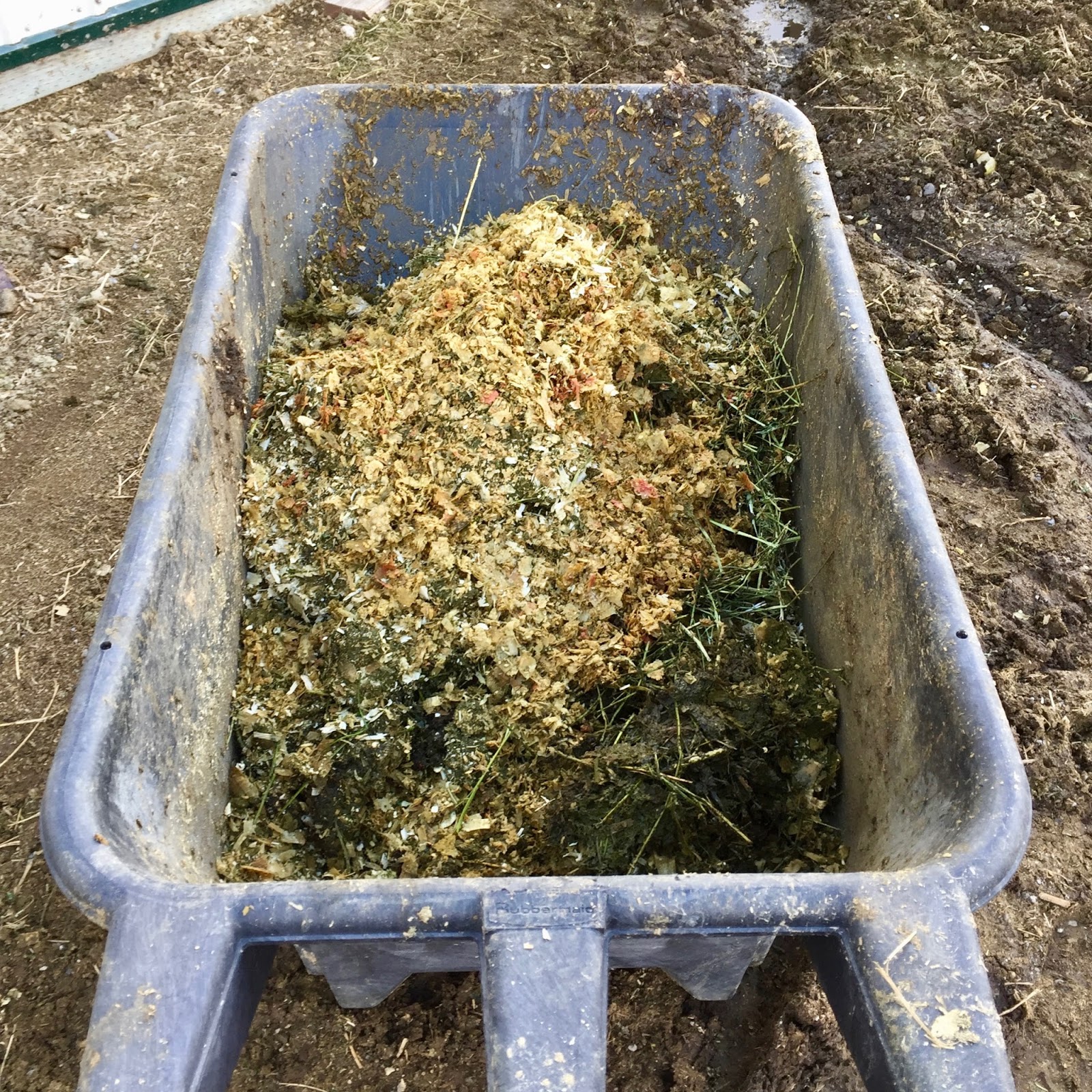 Mud and Yuck! - My Welcome Home Farm