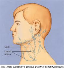 Signs and symptoms of head and neck cancer:Knowledge Cancer