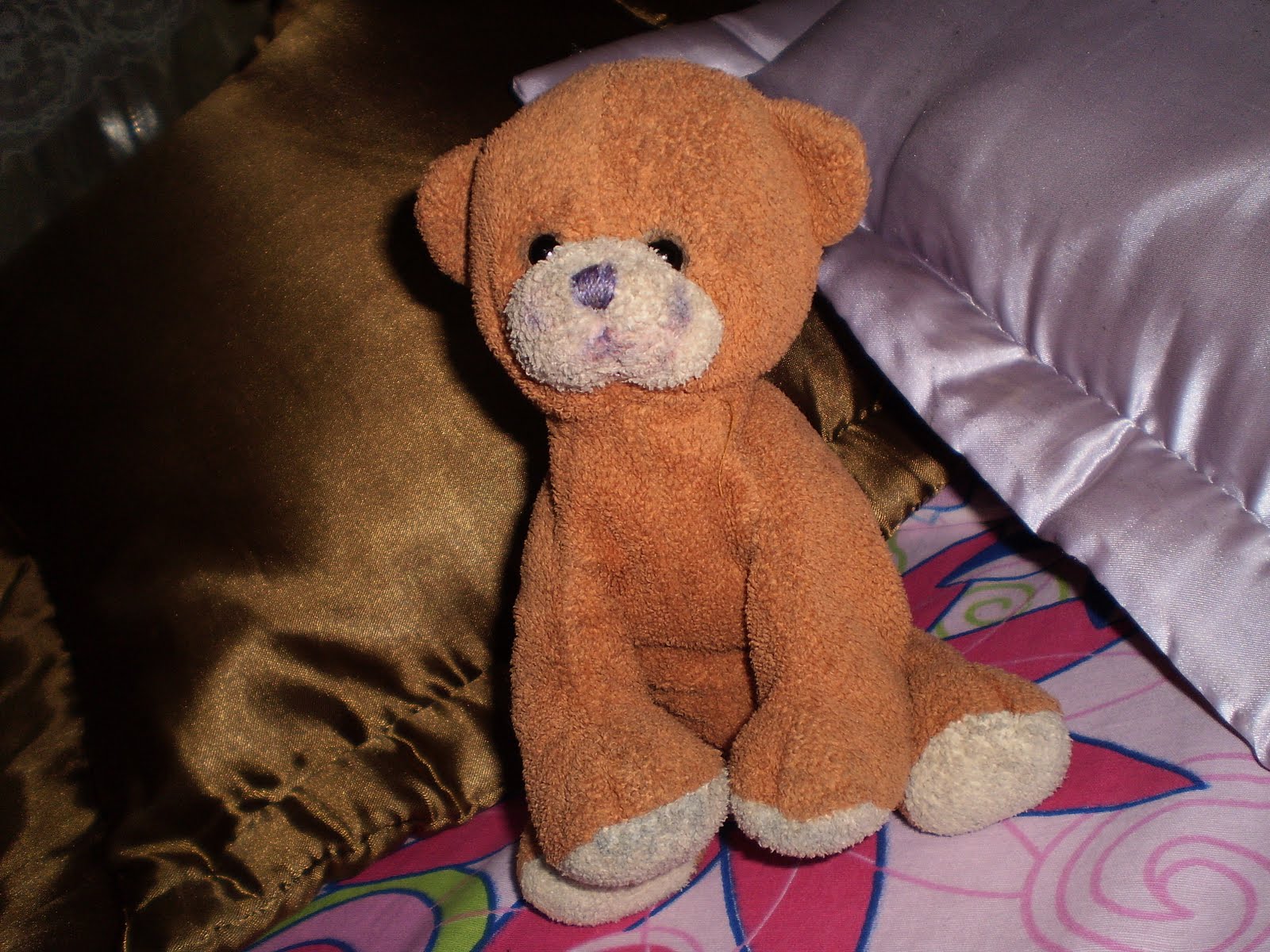 Schegge di vita: Pocotó