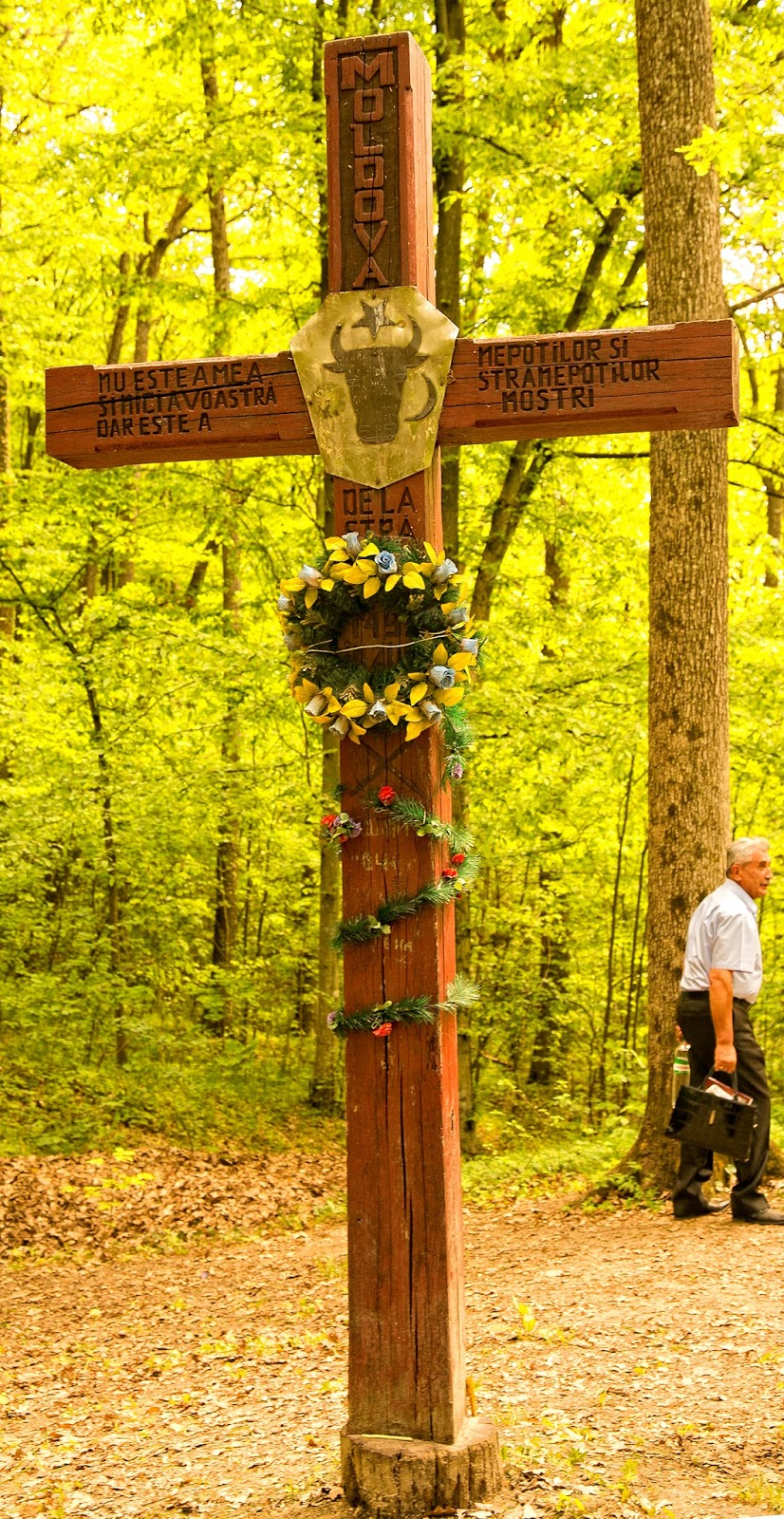 Pro Bucovina Cernăuți: Pelerinaj spre stejarul lui Stefan cel Mare din ...