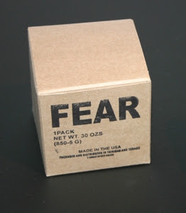 The Princess and The Pump: A Type 1 Diabetes Blog: Putting Fear in a Box