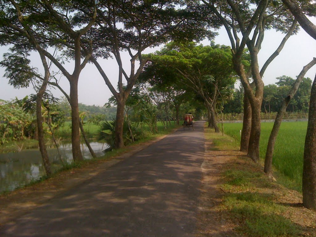 EXPLORE THE WORLD: Comilla, Bangladesh; Image Gallery