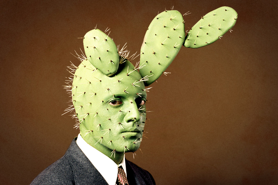 >: Know Yr (American) Cacti