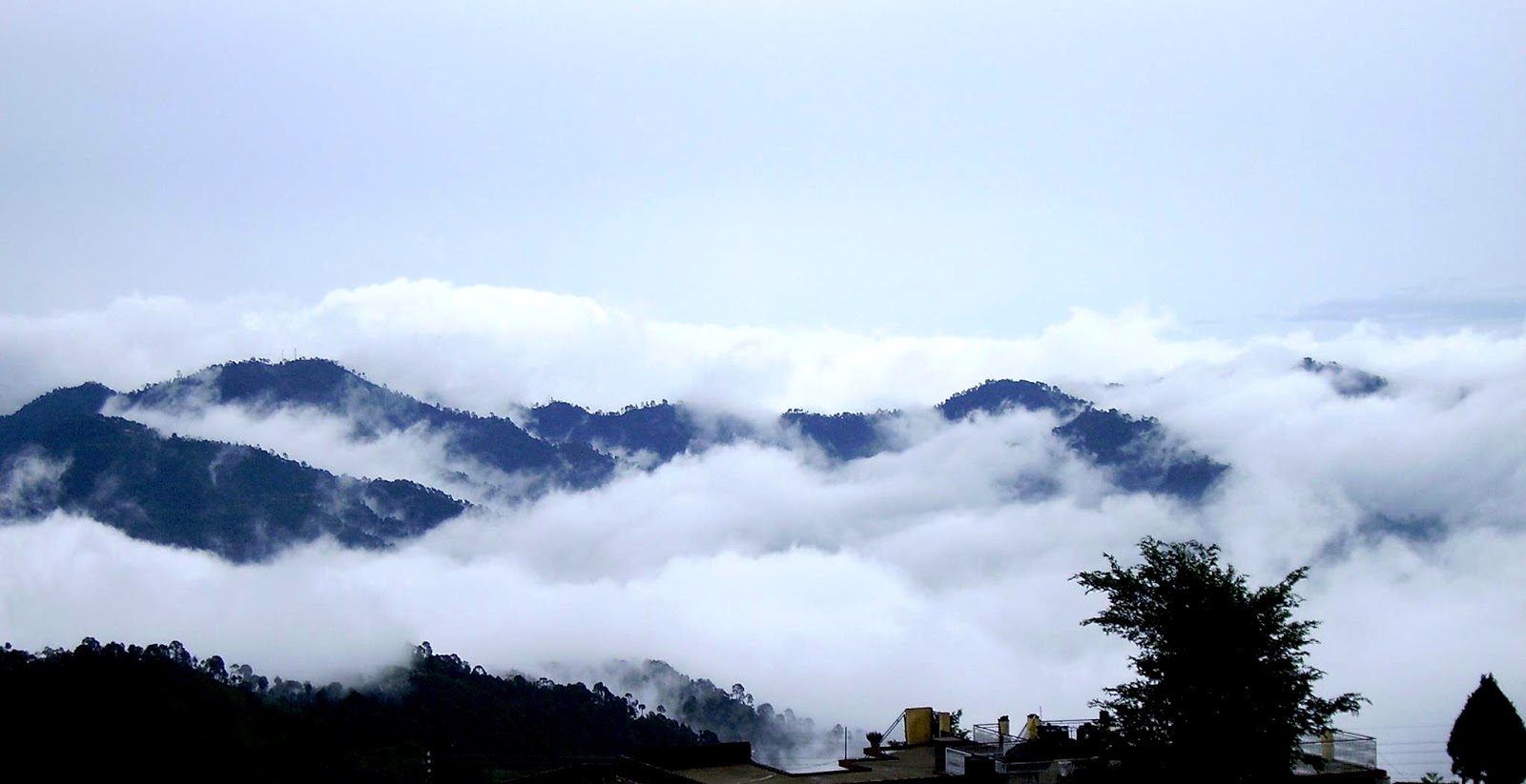 La pinekonez kussowlie (kasauli): Interesting facts about kasauli