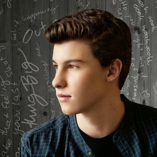 My Favorite Singer... SHAWN MENDES /Profile/Biodata