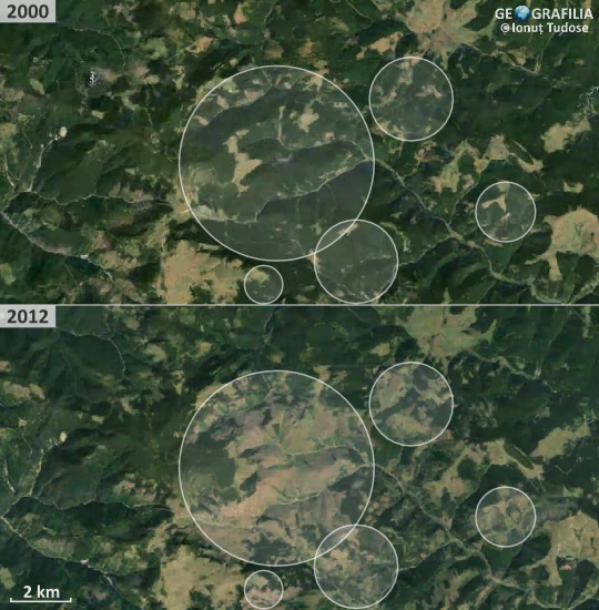 GEOGRAFILIA: Defrișările masive din România. 14 imagini satelitare ...