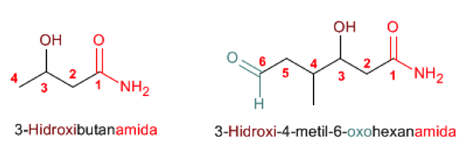 compuestos orgánicos : Amidas
