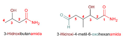 compuestos orgánicos : Amidas