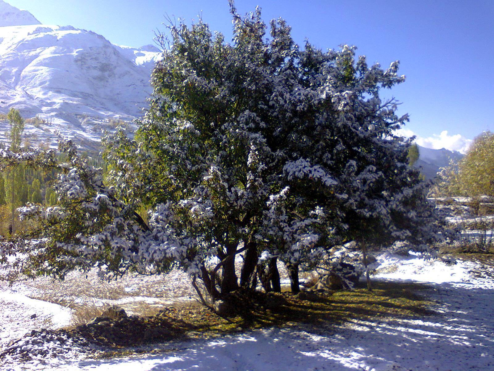 Susoom Karimabad Chitral's scenic places, one should visit once.