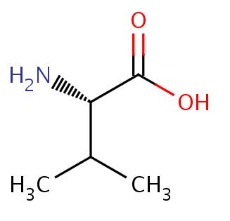 Getting to Know Your Amino Acids: Valine