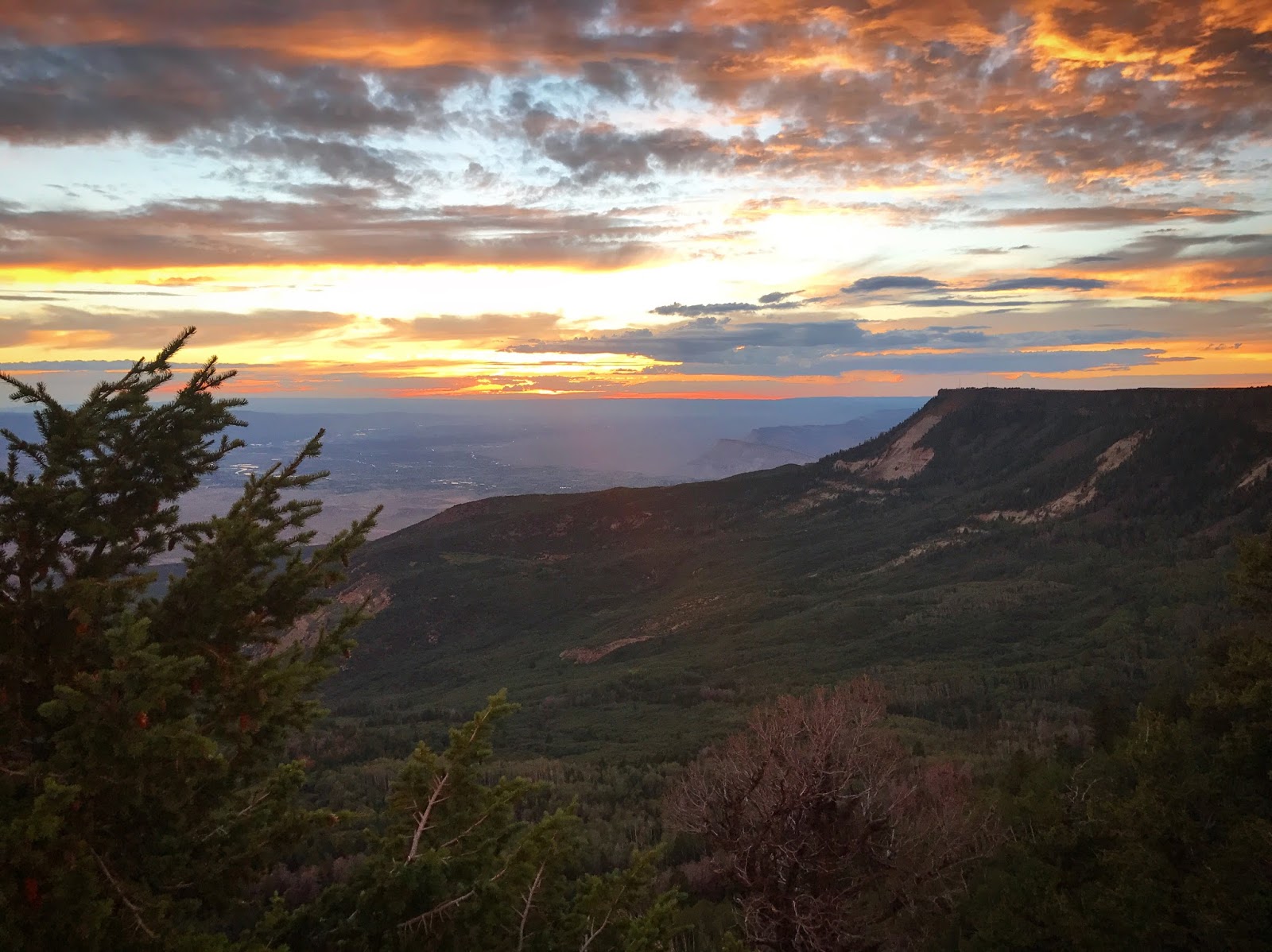 Kate Runs Colorado: Grand Mesa 55K {Race Recap}