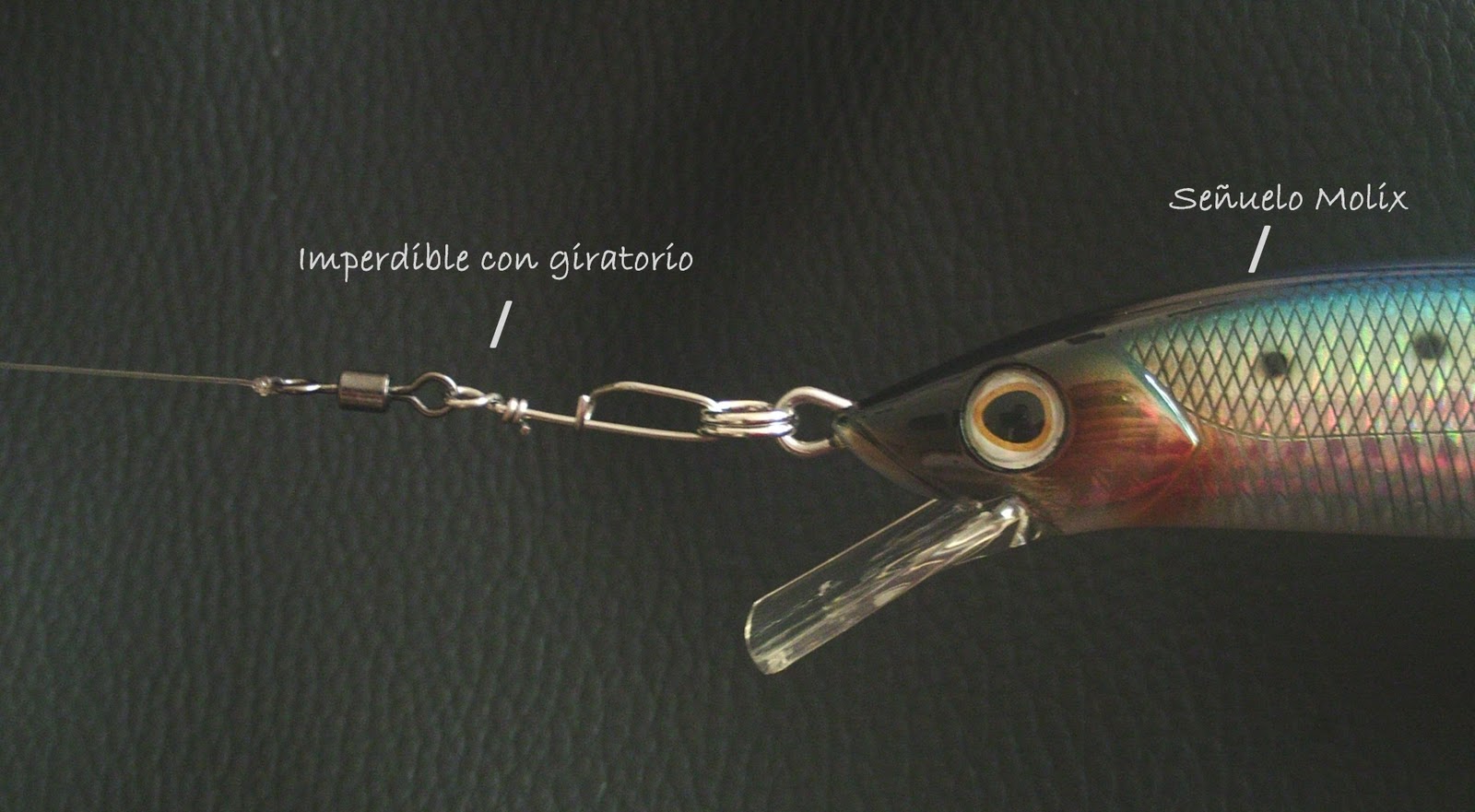solorobalizas: VIDEO: Robalo-Spigola de 5.738 grs con "Molix Super Finder Jerk"