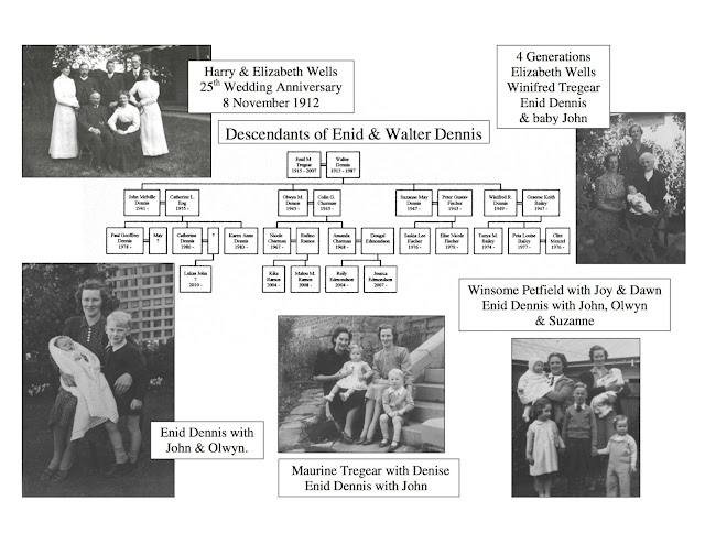 Rev. Leslie S. Macdougall Diaries: Wells family trees