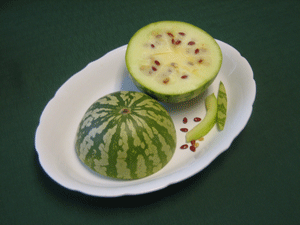 Researching Food History : Citron melon or citron watermelon - to make ...