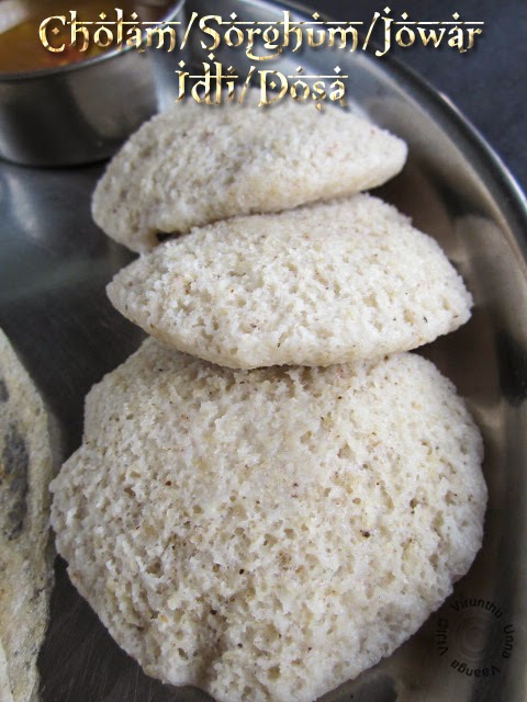 VIRUNTHU UNNA VAANGA: சோளம் இட்லி/தோசை I SORGHUM/JOWAR IDLI & DOSA I ...