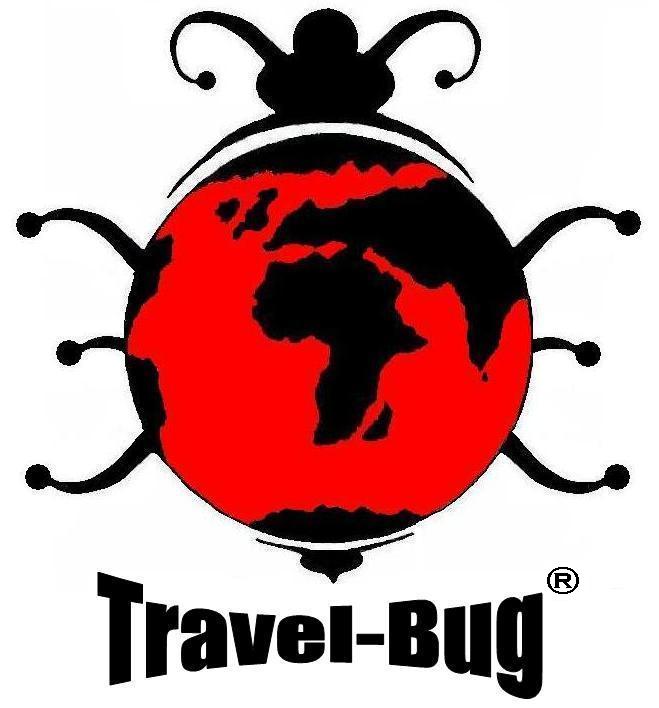 From Beginning to End...and Back Again: Oversleeping, Writing ...