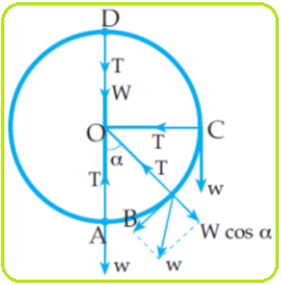 Penerapan Gaya Sentripetal