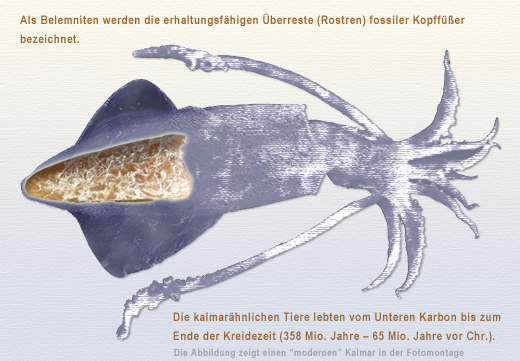 EL SOMNI DE LA DEESSA TERRA: La sorprenent sacralitat universal de les ...