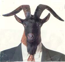 O Despertar de um Sonho: os Bodes