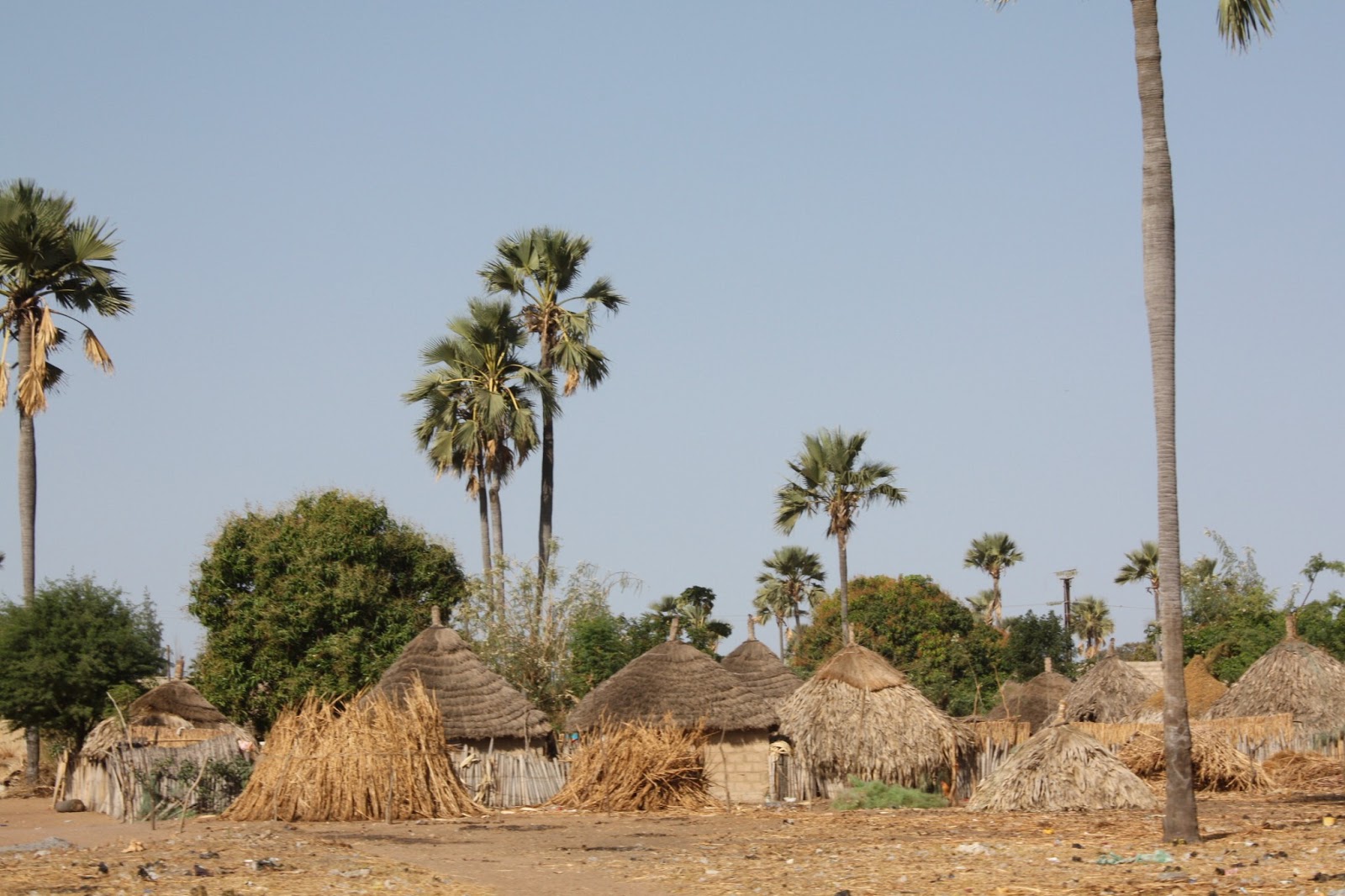Mi Universo Viajando: PARQUE NATURAL SINE SALOUM SENEGAL