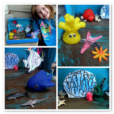 The Fantastic Five: Shoe Box Habitats