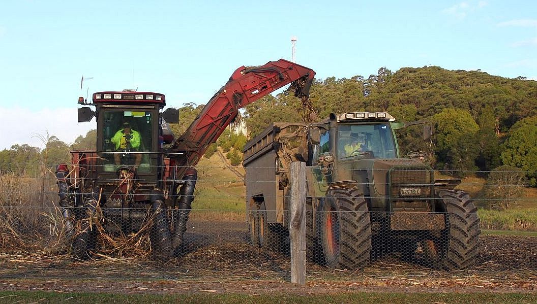 Holtys Photos .: Mechanical Cane Harvesting Northern Rivers NSW